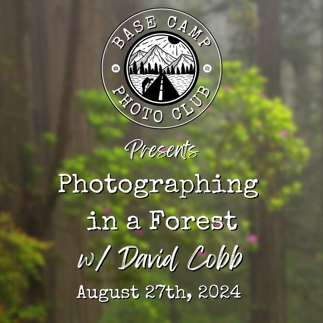 Photographing in a Forest with David Cobb [Meeting Recording ...